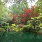 Two for Thursday ~ Mini Cube card video