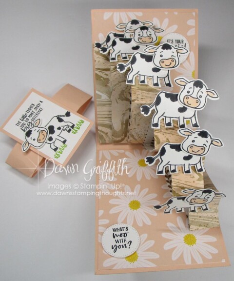 Stadium Wave fun fold card video