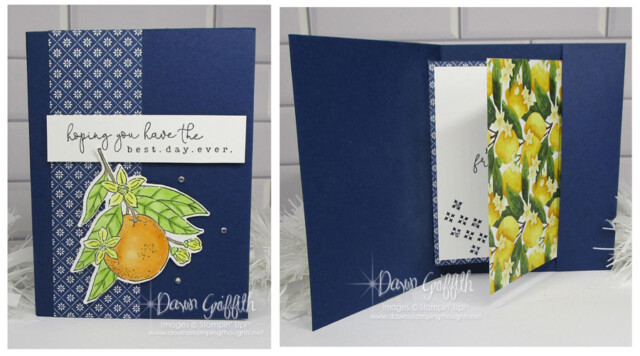 Inside Hidden Message Panel Fun Fold card video