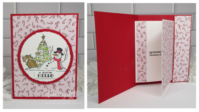 Inside Hidden Message Panel Fun Fold card video